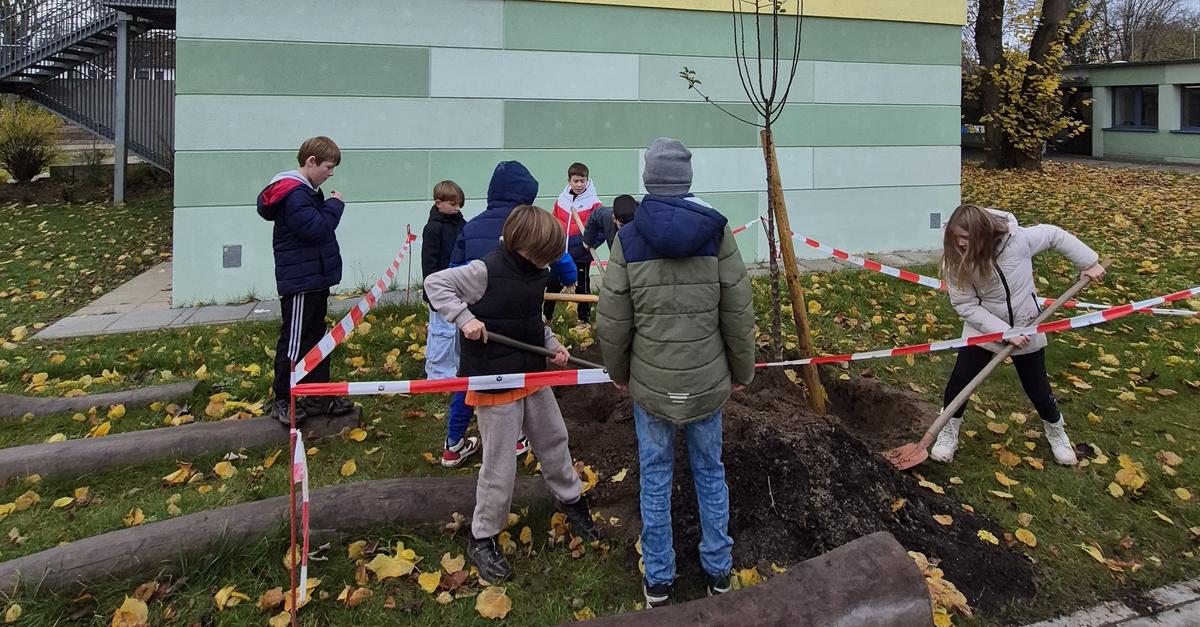 Apfelbäume auf Gelände der Grundschule Am Weilbach in Flörsheim gepflanzt